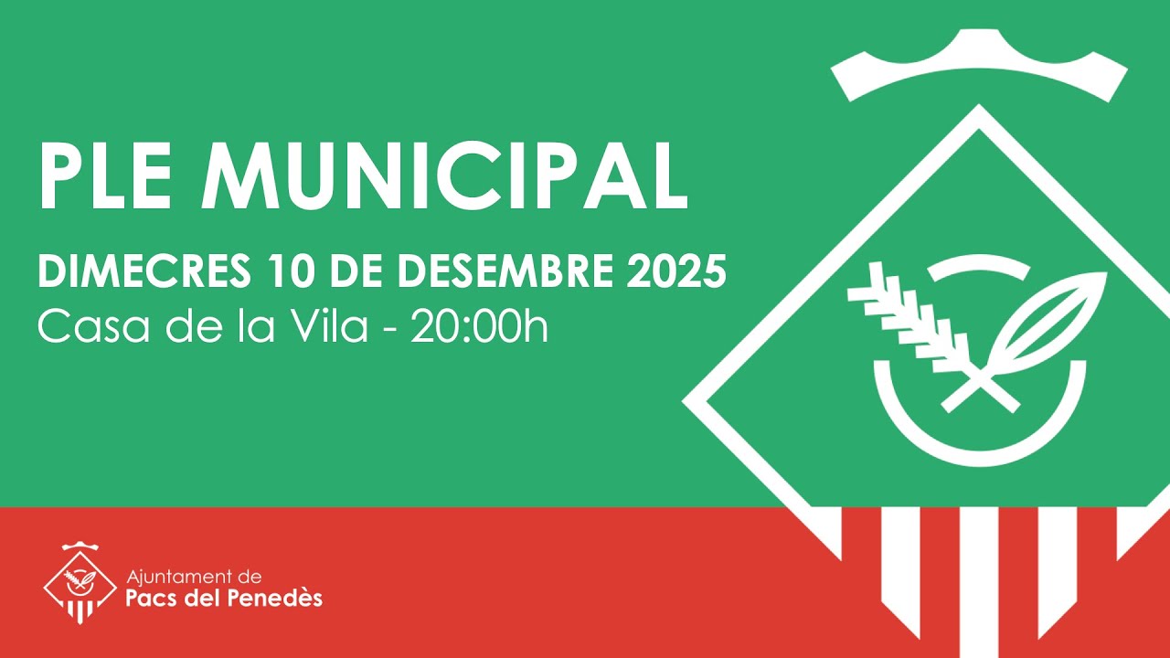 Ple Municipal: 10 de desembre 2025 - YouTube