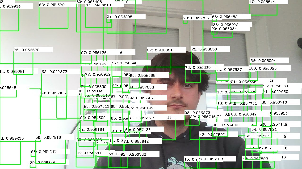 cpp and python face detection with onnxruntime | obs plugin development - YouTube
