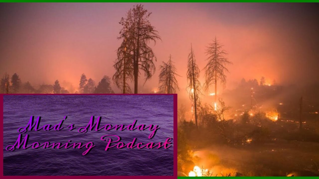 Debating a NeoReactionary on Primitivism, Socialism, and Civilizational ...