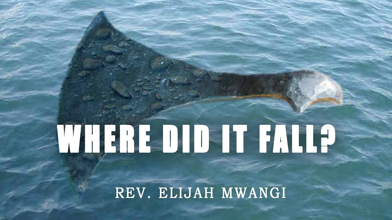 WHERE DID IT FALL? || Rev. Elijah Mwangi - YouTube