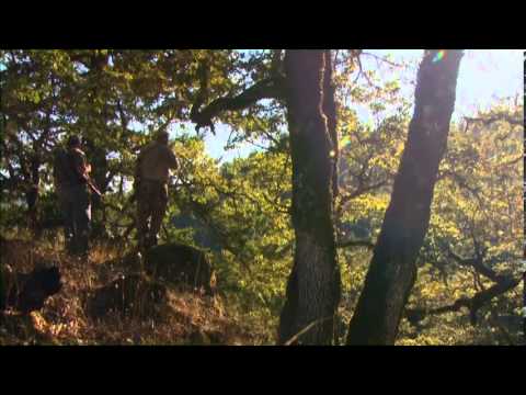 California: Blacktail - Boone and Crockett Country - YouTube