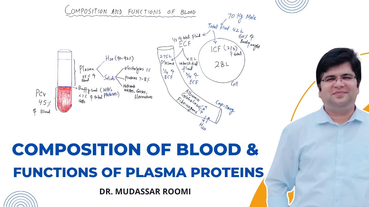 Composition of blood and functions of plasma proteins | Blood ...