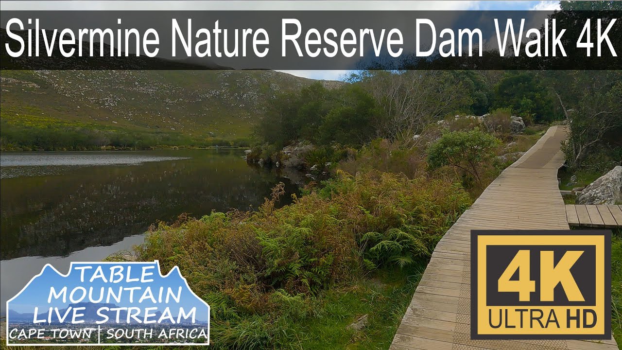 Silvermine Nature Reserve Dam Walk 4K - YouTube