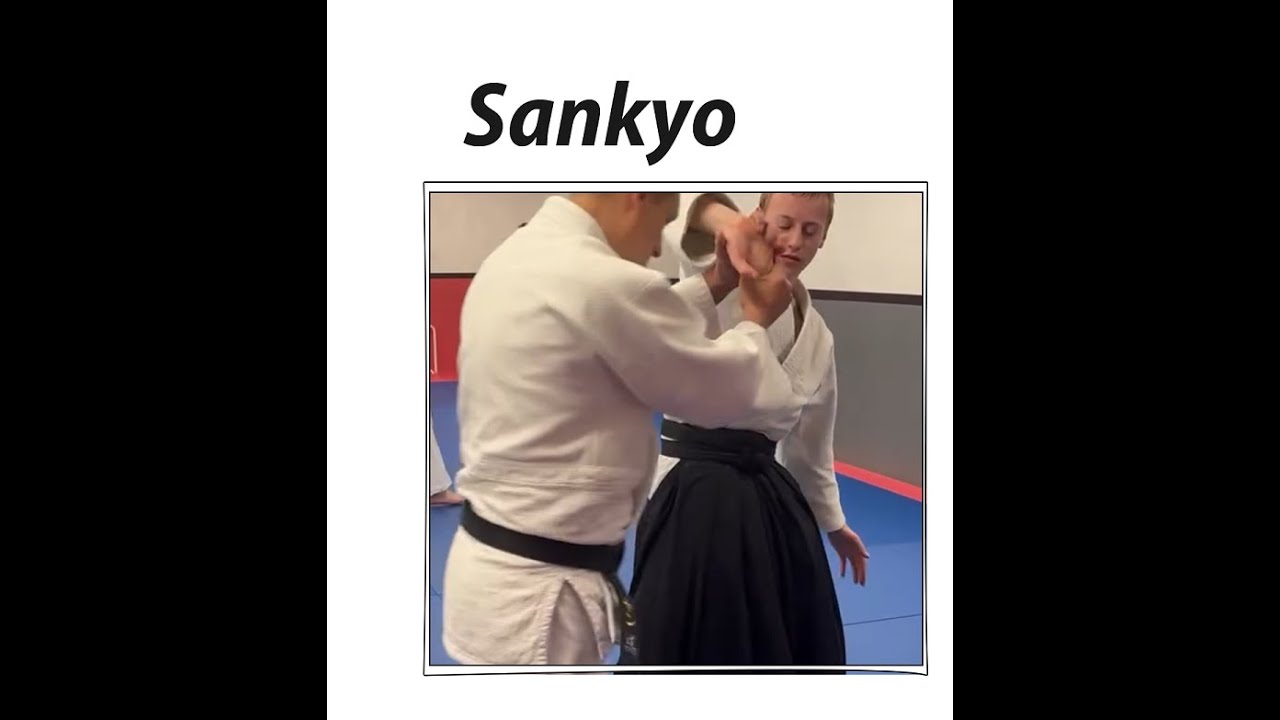 Aikido Youth Techniques | Sankyo | Slovenia - YouTube