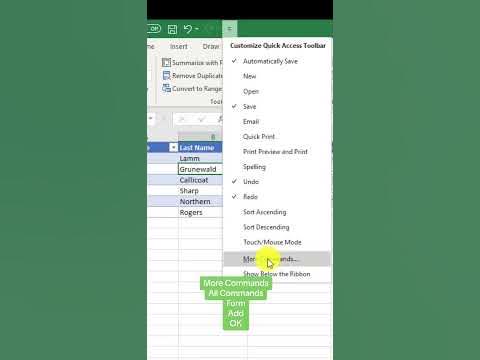 Data Entry Form in Excel 📝 - YouTube