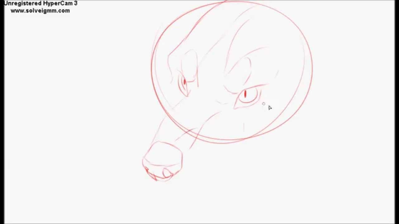 "Lloyd" Timelapse - Ginga - YouTube