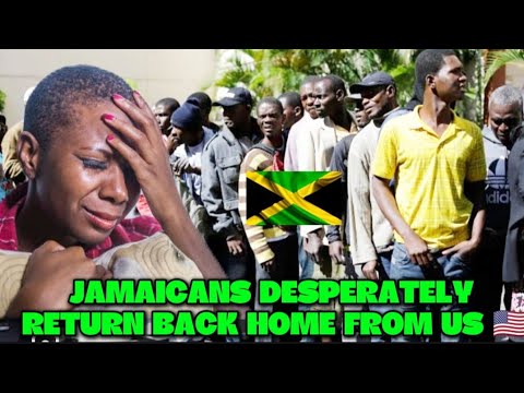 JAMAICANS Desperately CRYING & Running Away From US🇺🇸 To Jamaica ...