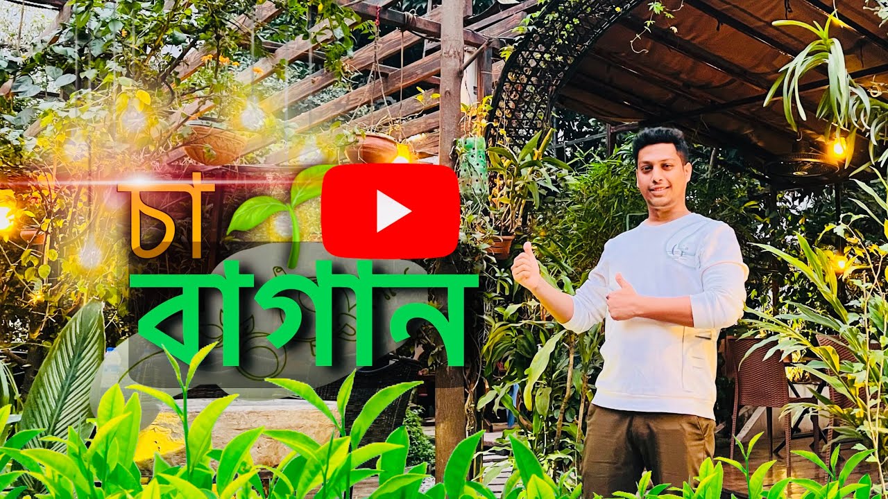 Cha bagan - Best Natural View Restaurant at Banani - YouTube