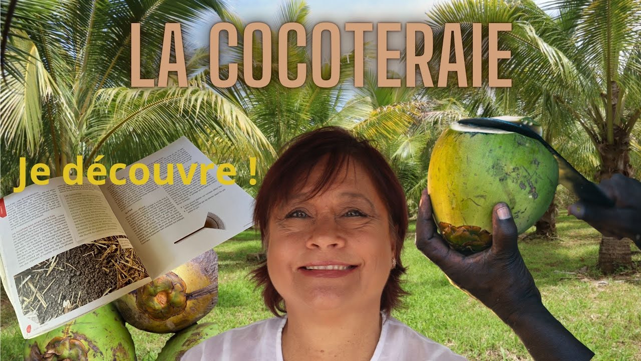 LA COCOTERAIE DE LAFERM COCO...LA VISION DE STÉPHANE - YouTube