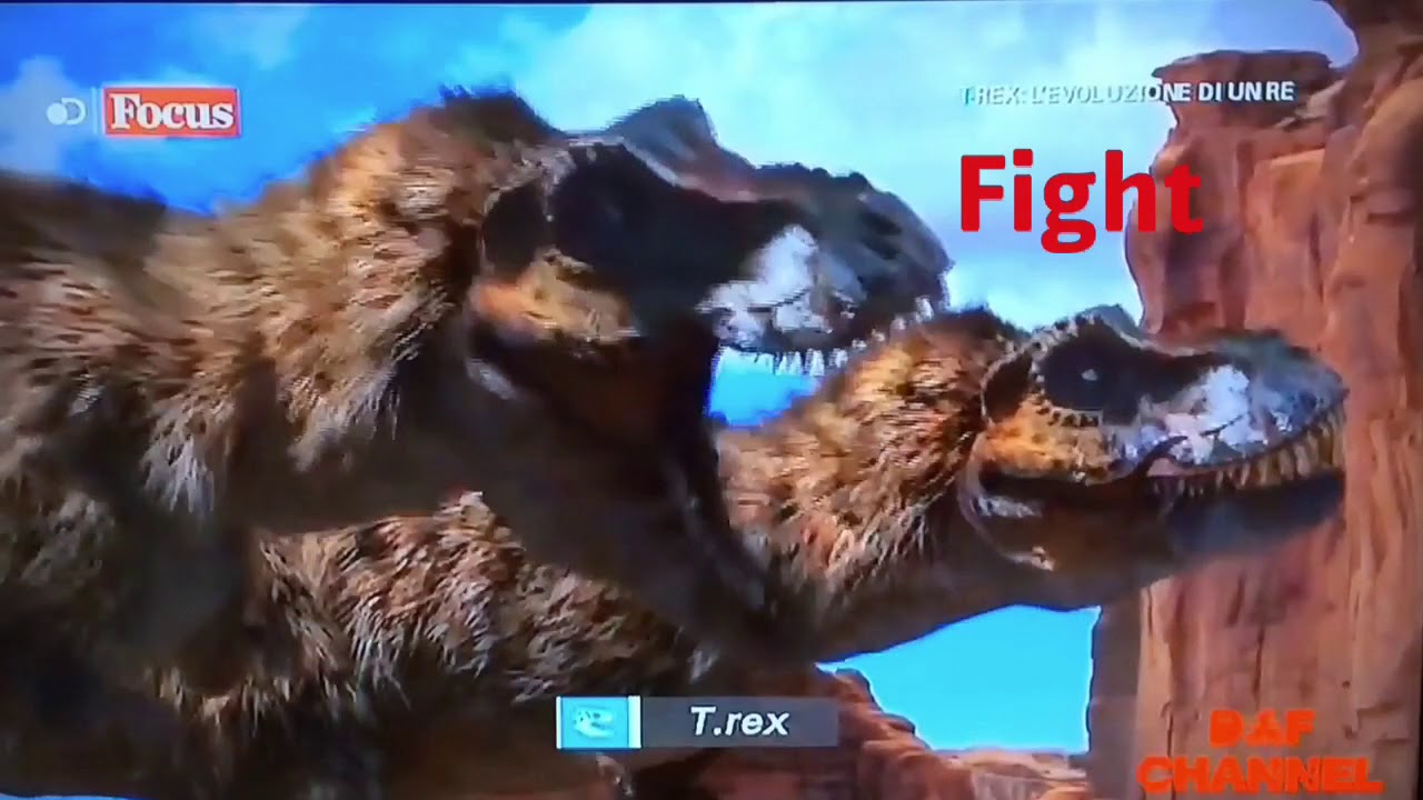 Dinosaur Face Off T Rex vs Siats - YouTube