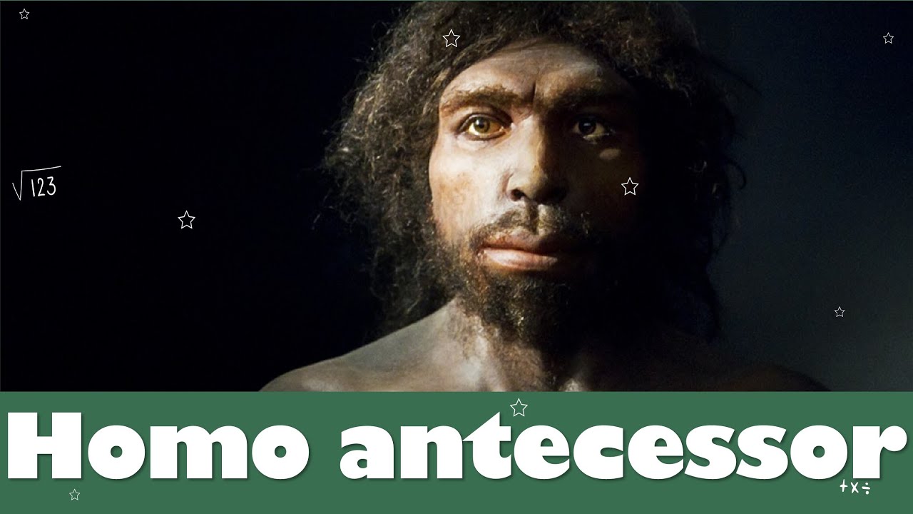 ⭐Homo antecessor ¿el primer hombre europeo? 📗 aulamedia Historia - YouTube
