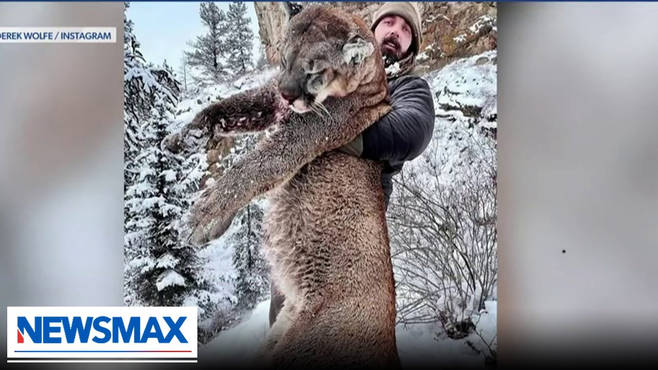 Former NFL player Derek Wolfe kills mountain lion for terrorizing ...