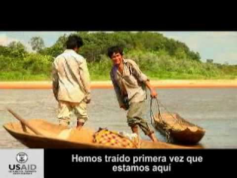 USAID Bolivia apoyando a la Comunidad Chiman - YouTube