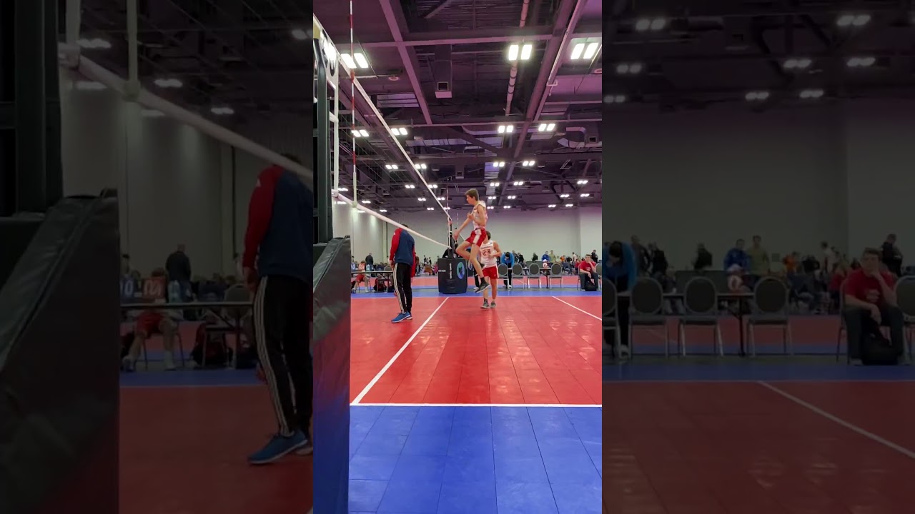 Caleb (Baby Giraffe) Lipscomb - Vertical - YouTube