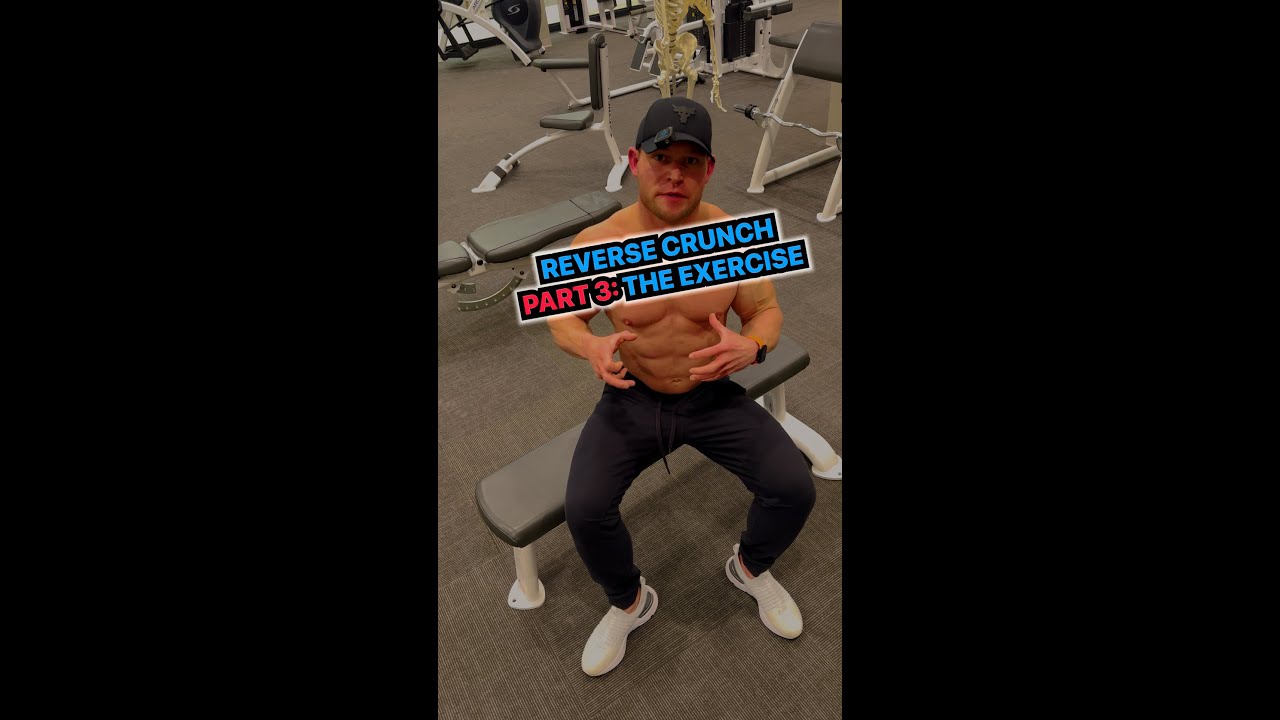 Reverse Crunch Part 3: How to Perform a Reverse Crunch - YouTube
