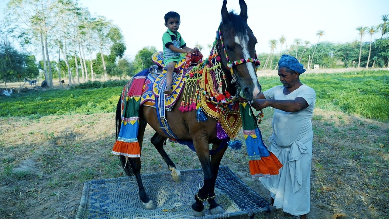 Funny Horse Dance while kid riding || Ghoda at Indian Village Rajasthan ...