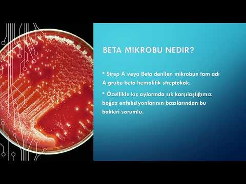 Strep A (Beta) mikrobu gündemde, Uzm Dr Sami Akbuğa, YDA