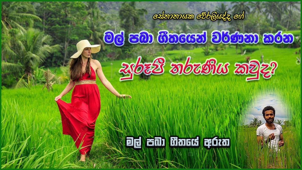 මල් පබා ගීතයෙන් කියවෙන්නේ කවුරු ගැනද? | Senanayaka Weraliyadda Mal Paba ...