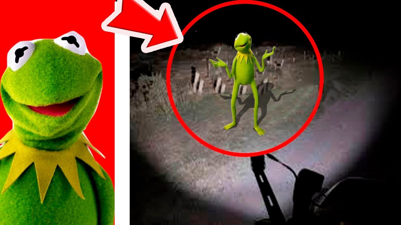 RANA RENE Captado En Cámara - YouTube