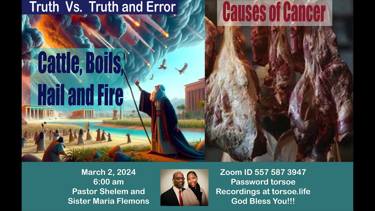Cattle, Boils, Hail and Fire AND Causes of Cancer - YouTube
