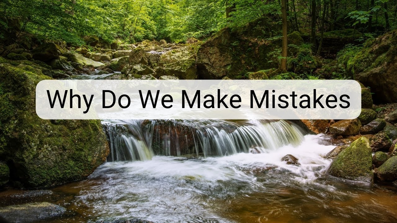 Why Do We Make Mistakes? An Enlightening Conversation with God About ...