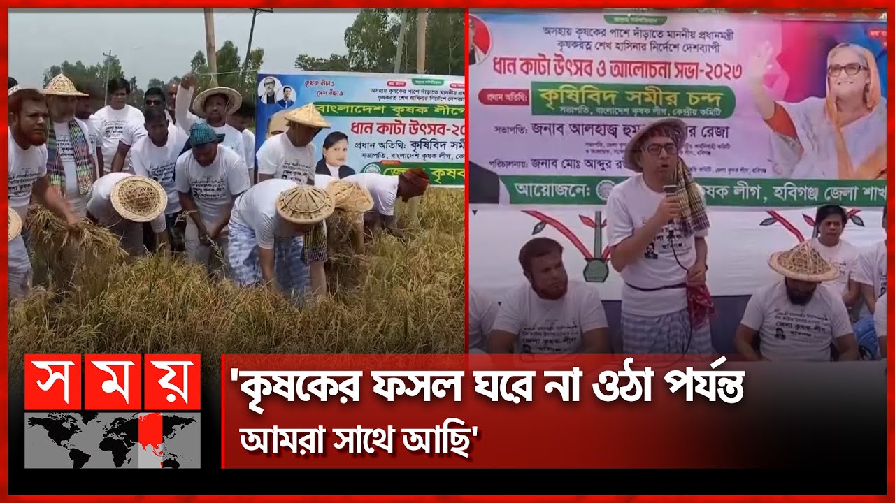 'মাঠে নেমে ধান কাটলেন কৃষক লীগ নেতারা' | Habiganj | Bangladesh Krishok ...