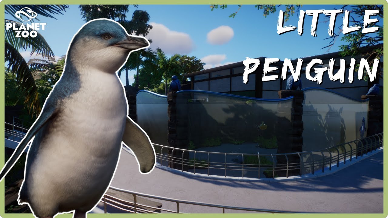 The Ultimate Little Penguin Habitat | Emerald Bay Sanctuary | EP.3 ...