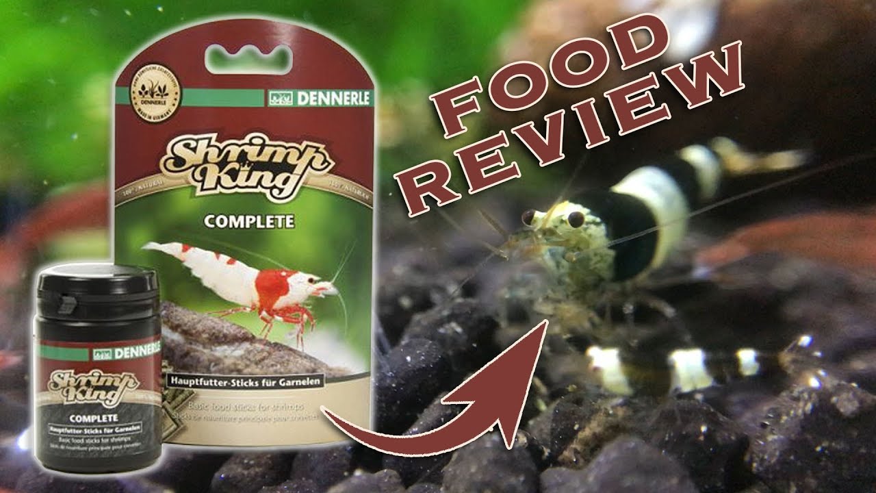 Dennerle Shrimp King Review - Complete - YouTube