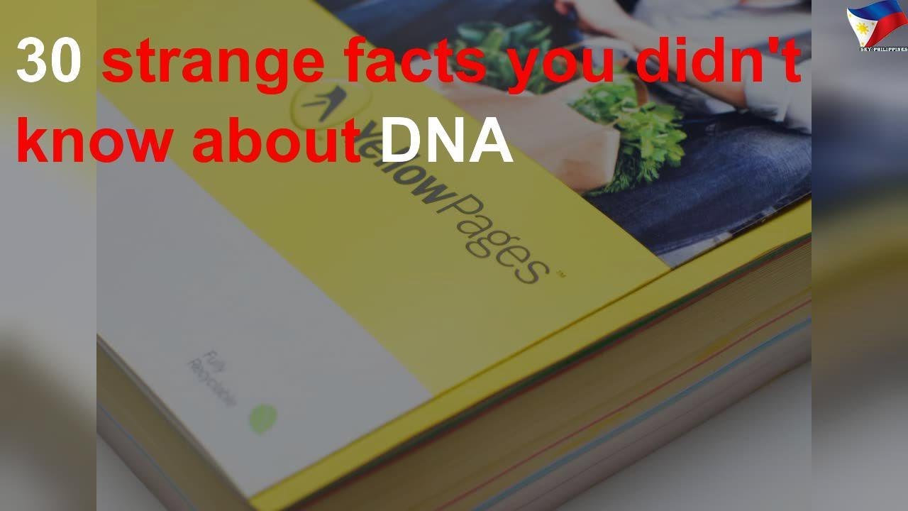 30 strange facts you didn't know about DNA - YouTube