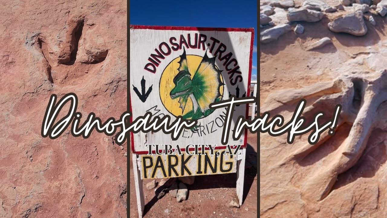 Exploring the Moenkopi Dinosaur Tracks near Tuba City, Arizona #4k # ...