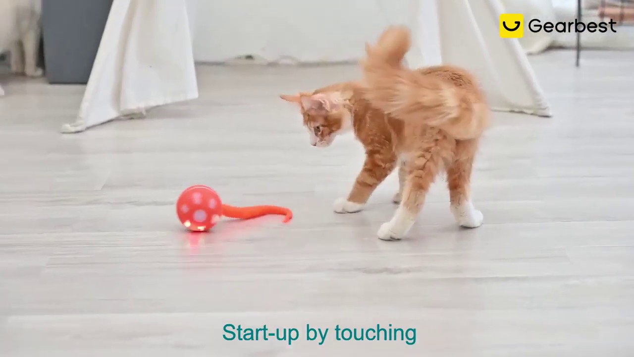 BENTOPAL P04 USB Charging Smart Ball Pet Toy with Colorful Lights - YouTube