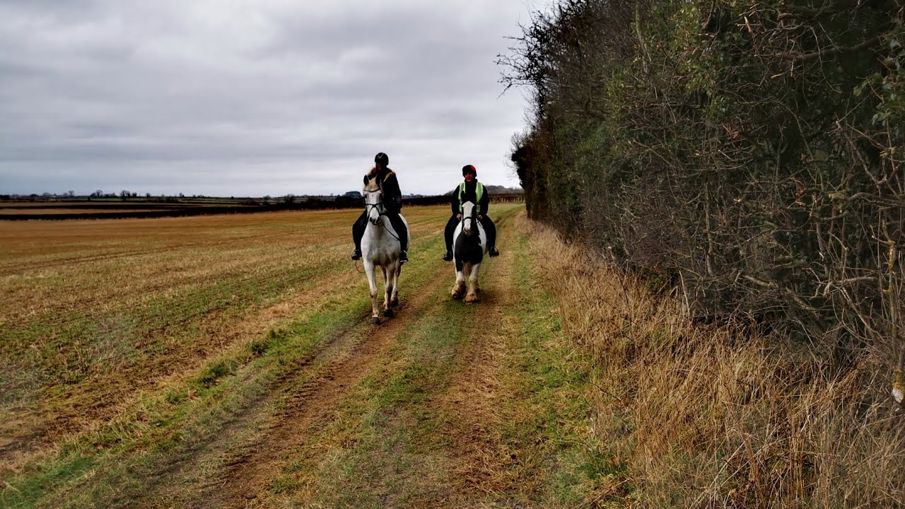 Rowthorne Trail, Teversal Trail, Pleasley and Glapwell. (*8 mile walk ...