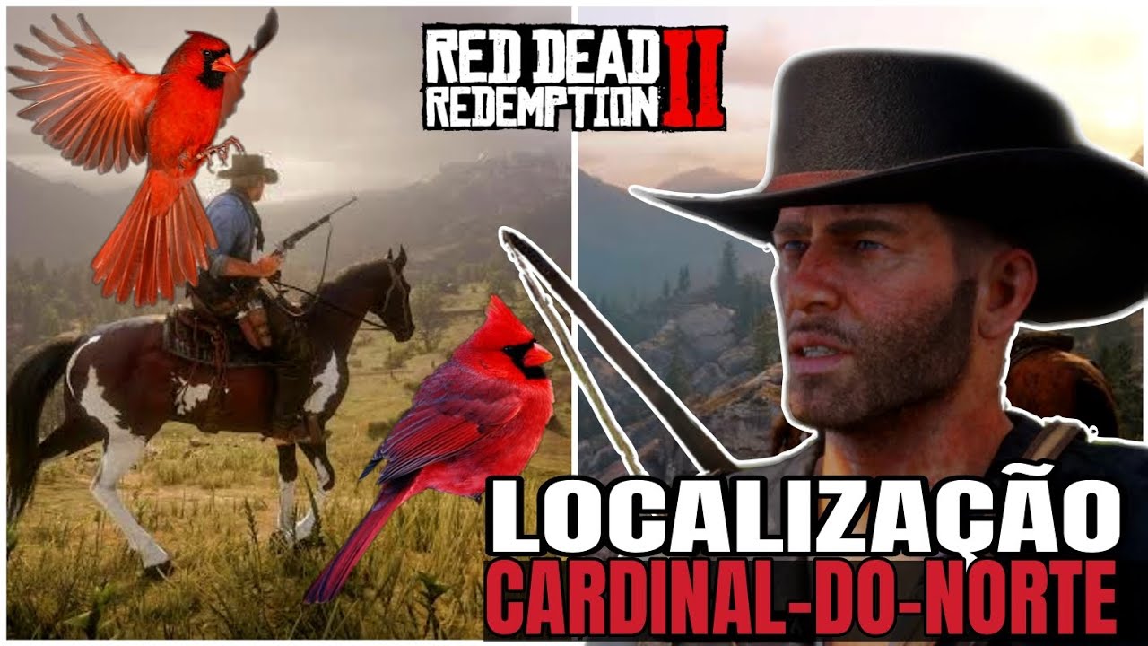 Cardinal Do Norte | Localização - Red dead redemption 2 - YouTube