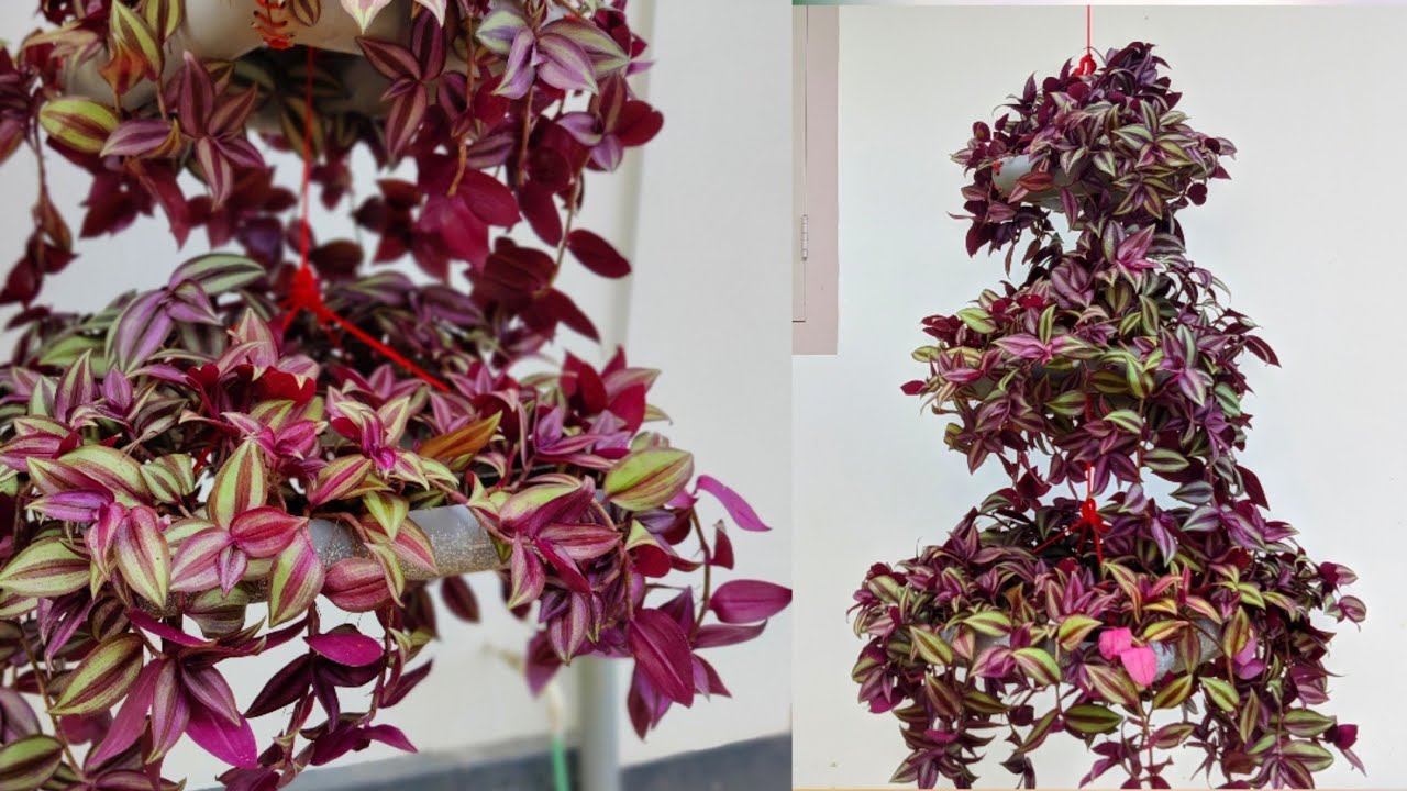 DIY Vertical garden from an old pvc pipes| Hanging plant ideas ...