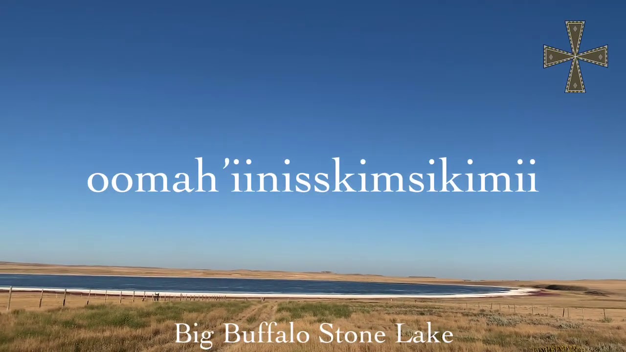 Pikuni Word of the Day | oomah’iinisskimsikimii - YouTube