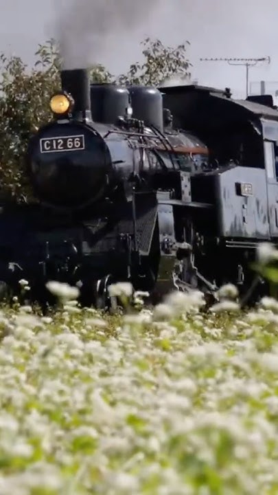 真岡鉄道 C12-66「SLもおか」下館駅発車！Moka-railway Steam locomotive class C12-66 pulling "SL Moka" - YouTube