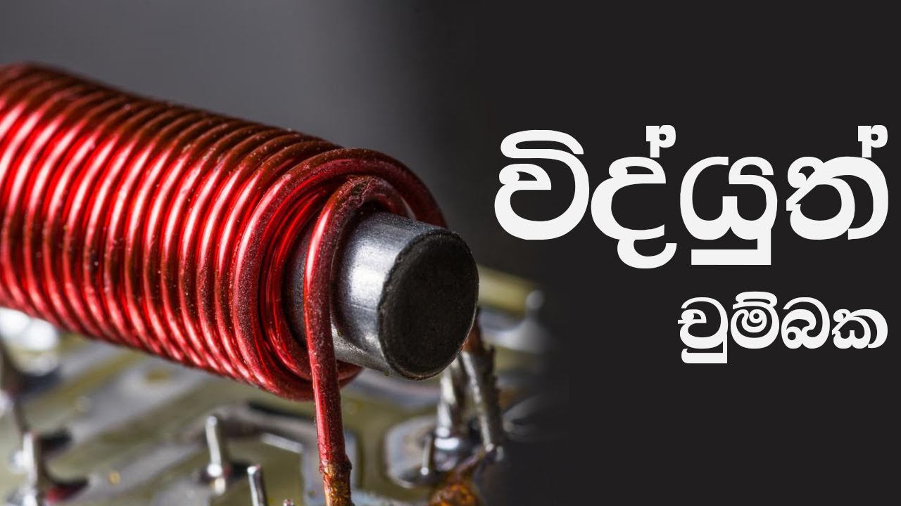 O/L Science Sinhala | Grade 11 | විද්යුත් චුම්බක | Electromagnets - YouTube
