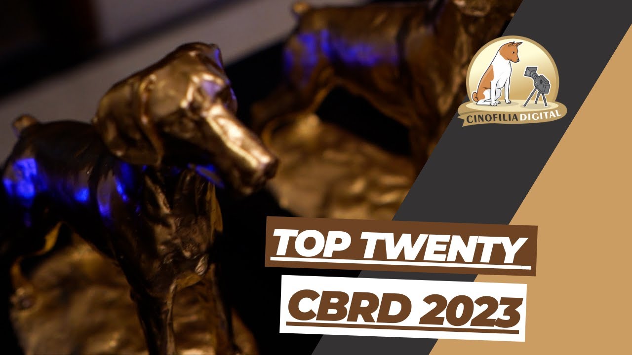 Dobermann - Top Twenty CBRD 2023 | Cinofilia Digital - YouTube