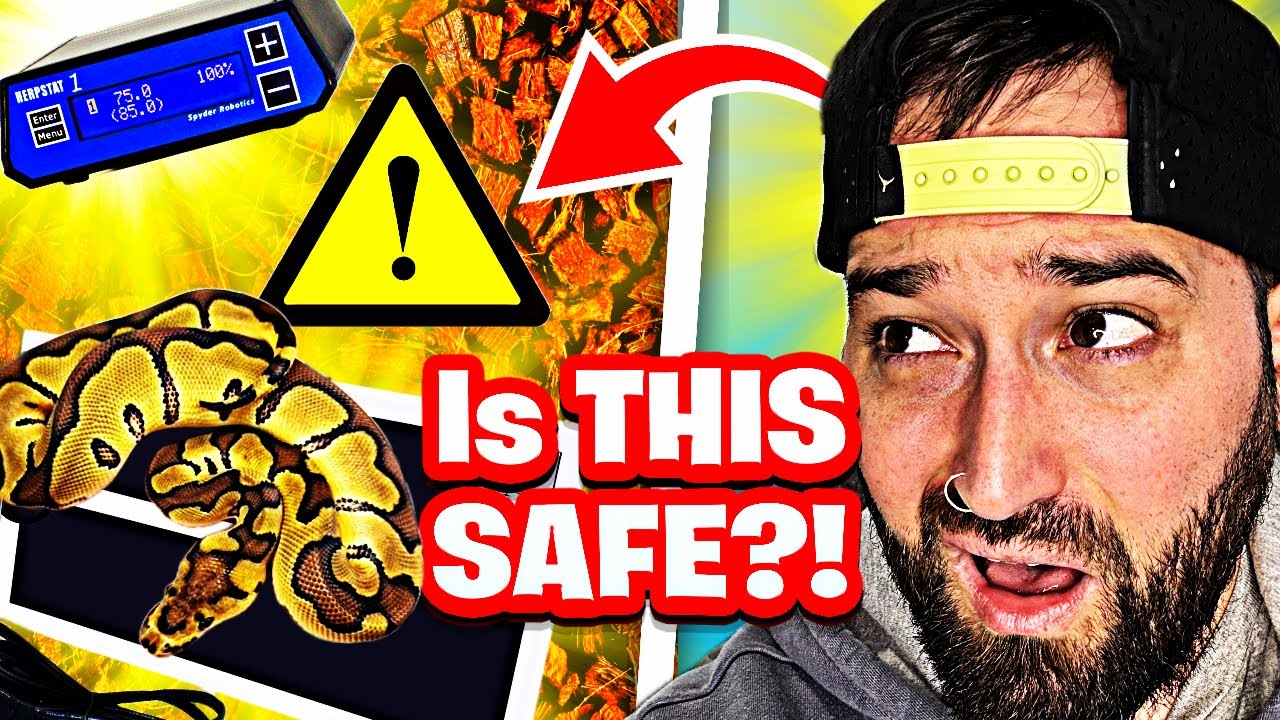 Belly Heat For Ball Pythons: SAFE, EFFECTIVE, & TOTALLY Misunderstood! - YouTube