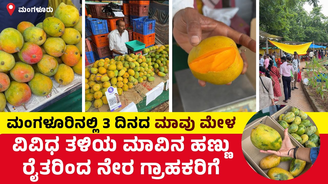 Mangalore Mango Festival | ಮಂಗಳೂರಿನಲ್ಲಿ ಮಾವು ಮೇಳ 2025 📍 Kadri Park ...