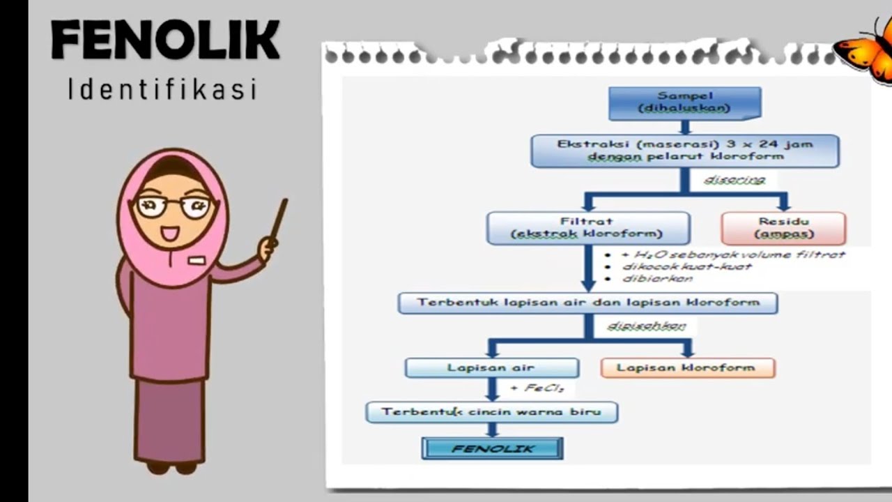 Uji fitokimia fenolik, flavonoid dan saponin - YouTube