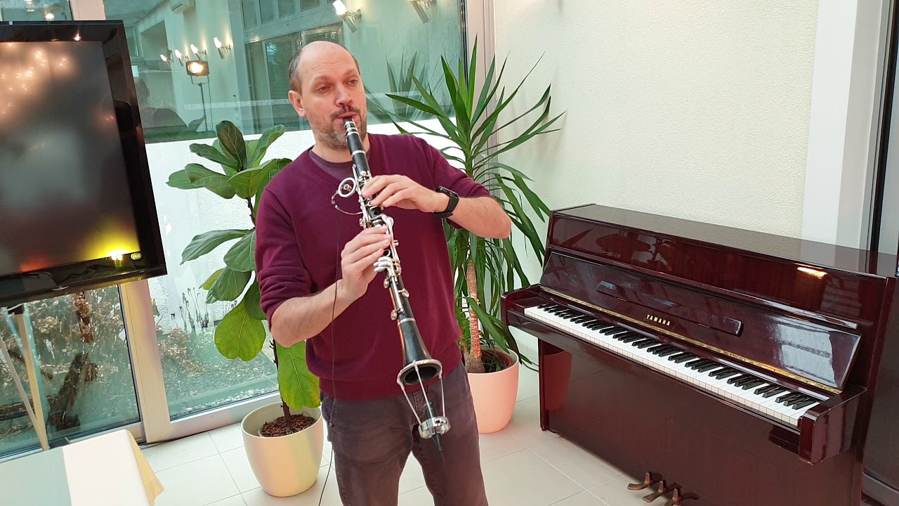 Can't Help Falling in Love - Elvis Presley - Learn Play Clarinet POP ...