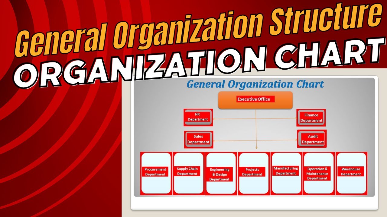 General Organization Chart | Organization Structure - YouTube