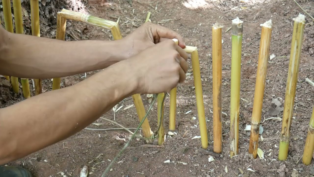 Wild Man: Create Amazing Trap to Catch Wild Chicken in the Forest - YouTube