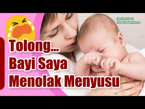 Tolong...  Bayi Saya Menolak Menyusu