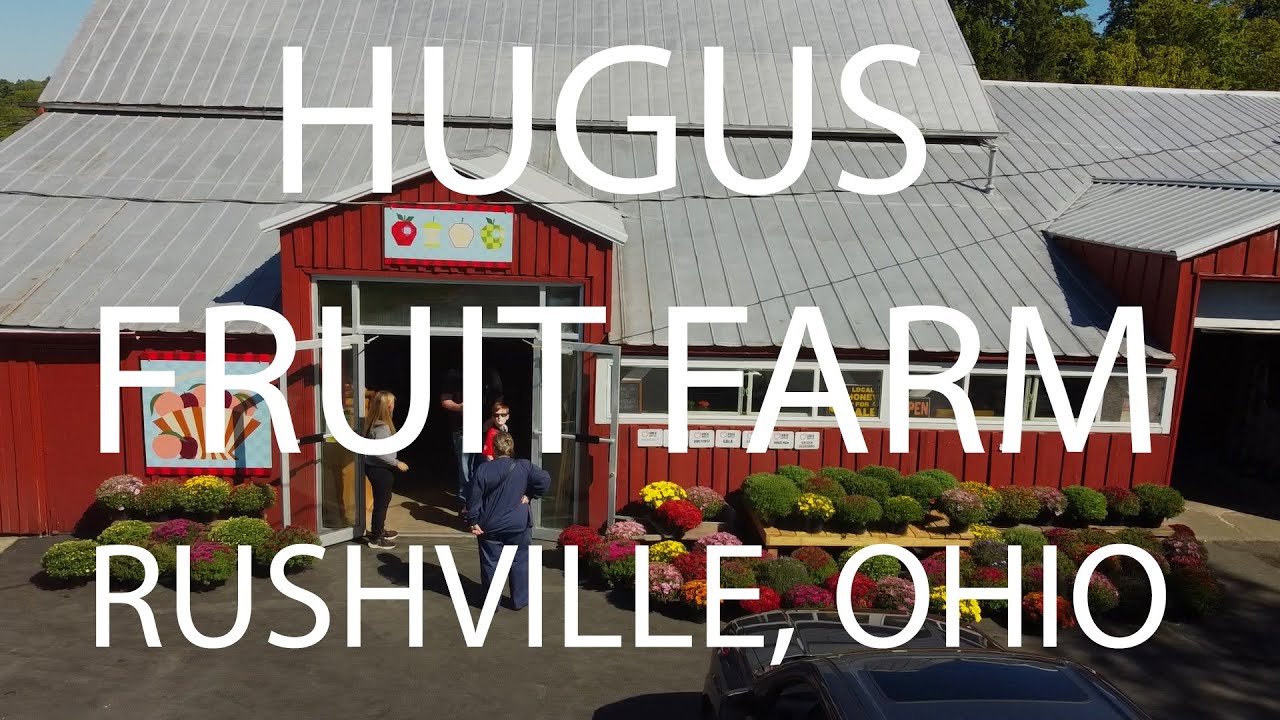 Adventures: Hugus Fruit Farm - YouTube