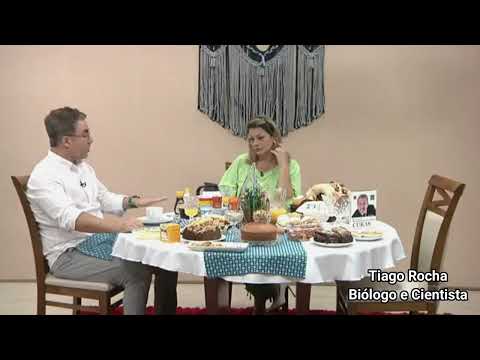 Os ALIMENTOS que não podem faltar no seu CAFÉ DA MANHÃ.