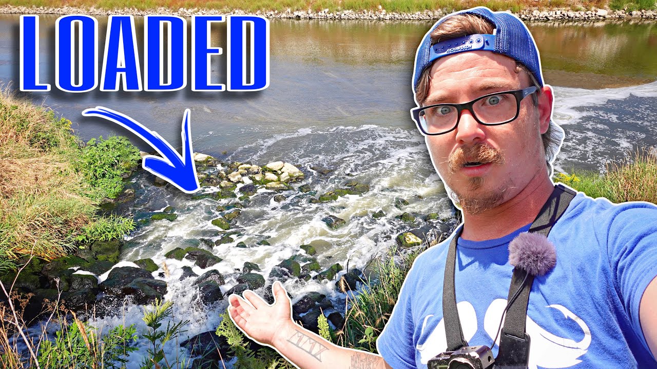I FEEL STUPID For Not Fishing Here SOONER!!! (Water Treatment Plant ...