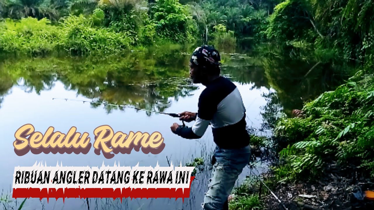 Mancing Teratas Mancing Alam Liar Mancing Di Spot populer Rawa Angler ...