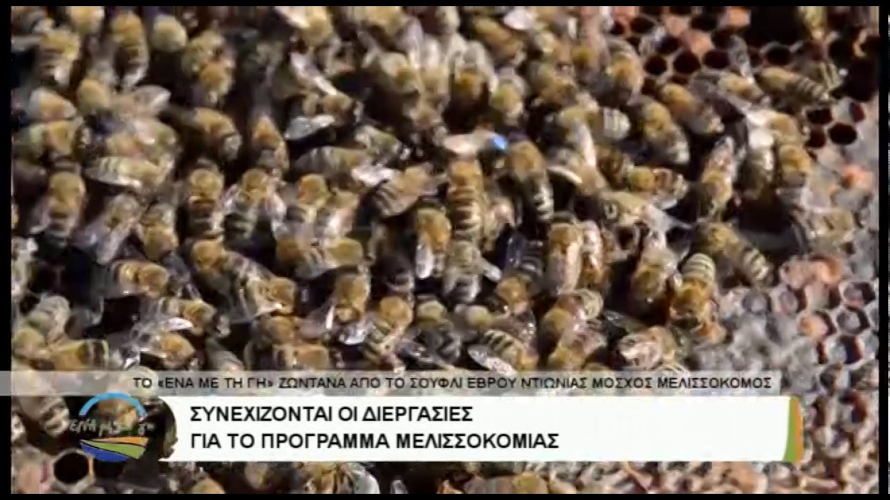 ΤΟ ΕΝΑ ΜΕ ΤΗ ΓΗ ΣΤΟ ΣΟΥΦΛΙ ΕΒΡΟΥ 25/5/2017 - YouTube